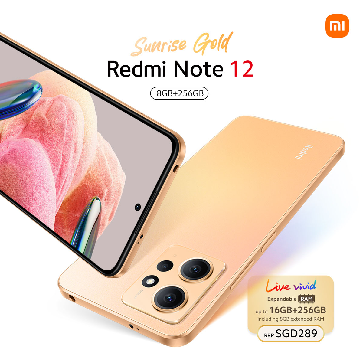 Singapore fans may get the Redmi Note 12 in a fresh new paint of ...