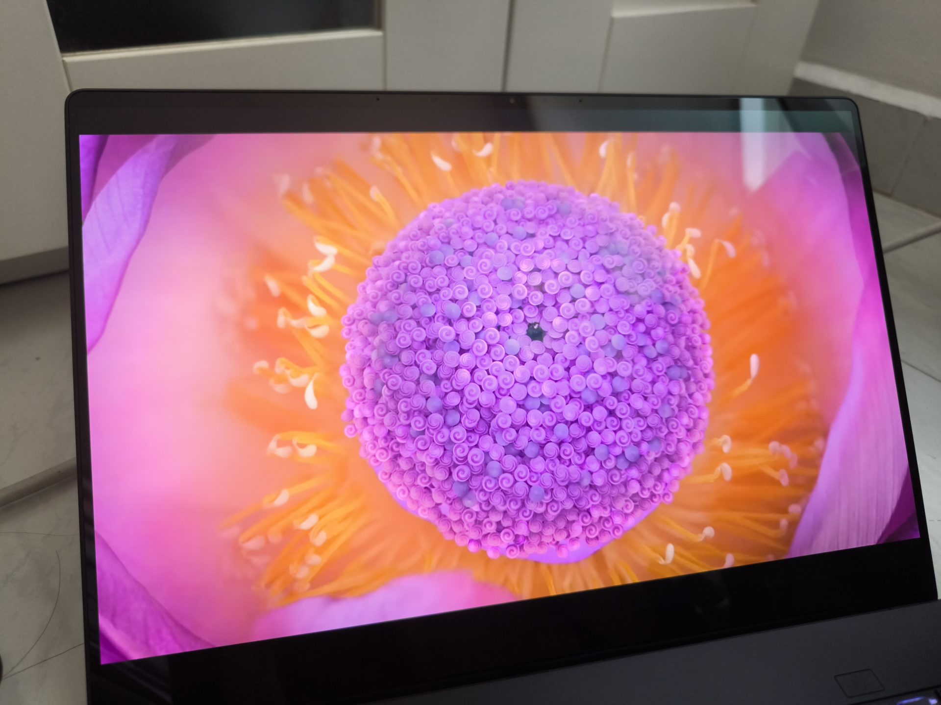 ASUS ProArt P16 (H7606) Review: A Creator's Dream Machine - The Tech Revolutionist